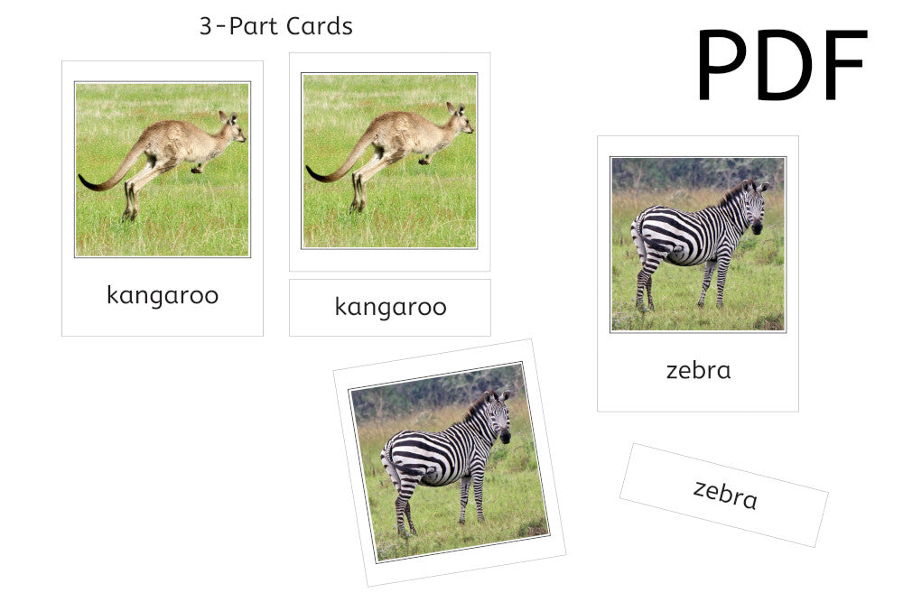 Grassland Animals 3-Part Cards (PDF) - IFIT Montessori